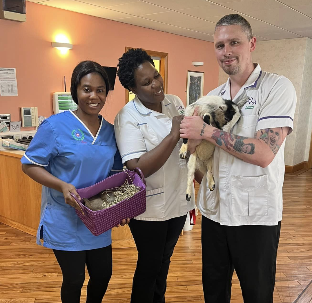 Enjoying the Sunshine at Massereene Manor – Hutchinson Care Homes