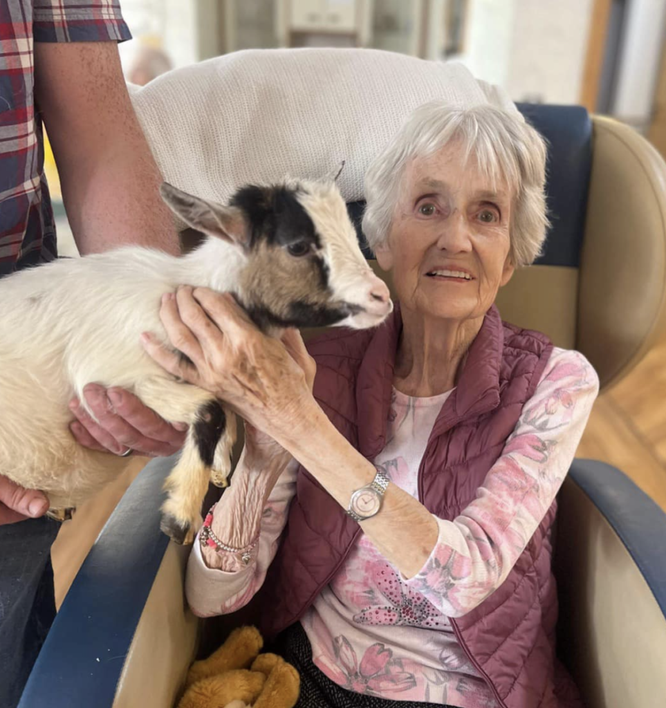 Enjoying the Sunshine at Massereene Manor – Hutchinson Care Homes